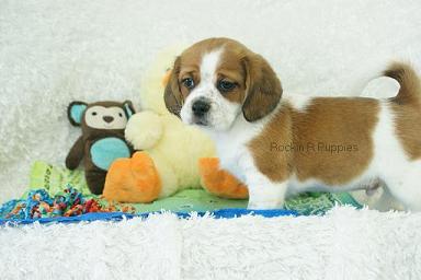 Speckles Photo Gallery