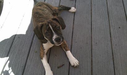 Customer Feedback 2010