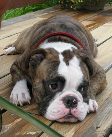 Customer Feedback 2010