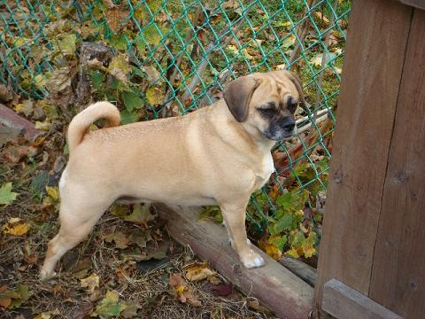 Feed Back From Customers 2011