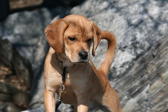 Feed Back From Customers 2011