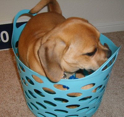 Feed Back From Customers 2012