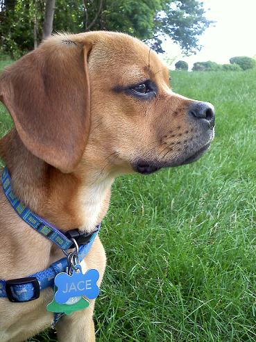 Feed Back From Customers 2012